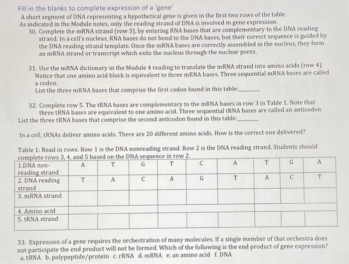 Solved Fill in the blanks to complete expression of a 'gene | Chegg.com