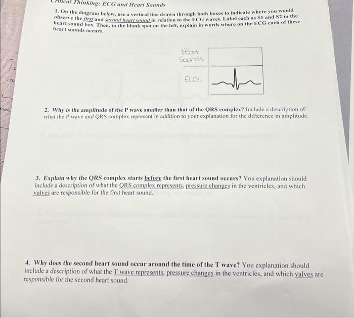 1. On the diagram below, use a vertical line drawn | Chegg.com