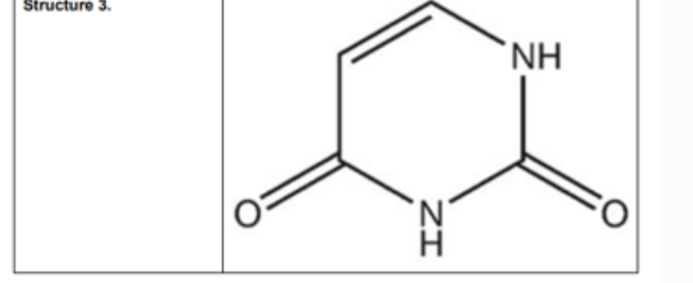 Solved Is the structure a nucleotide or nucleoside? | Chegg.com