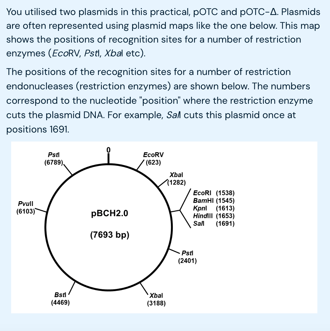 Solved You utilised two plasmids in this practical, pOTC and | Chegg.com