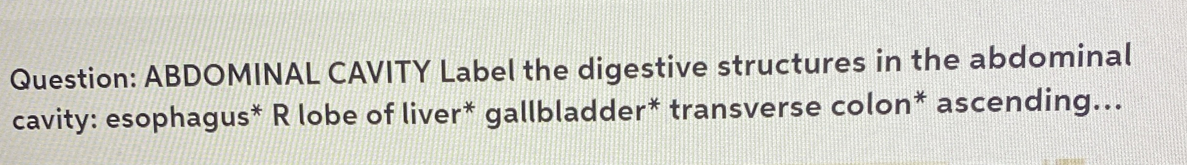 Solved Question: ABDOMINAL CAVITY Label the digestive | Chegg.com