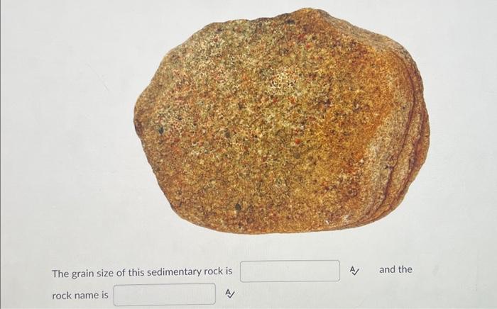 Solved The grain size of this sedimentary rock is A and the | Chegg.com