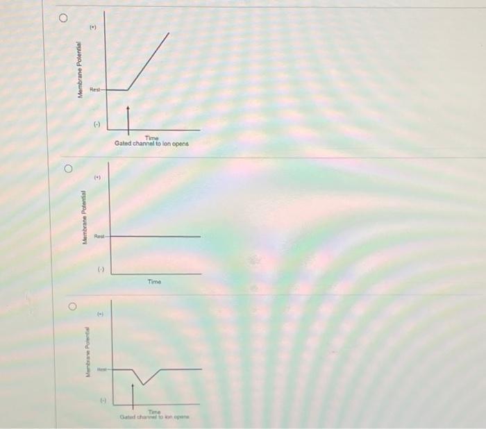 Solved Which of the below graphs best shows the change in | Chegg.com