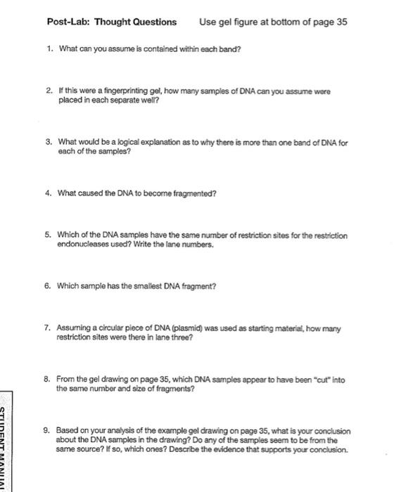 Solved Staining DNA with Fast Blast DNA Stain (Laboratory | Chegg.com