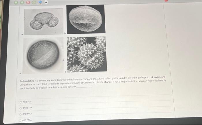 Solved Which of the following bacteria-ecological role | Chegg.com