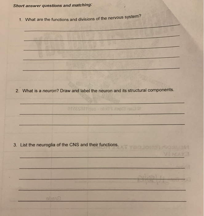 Solved Short answer questions and matching: 1. What are the | Chegg.com