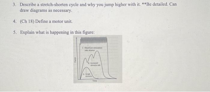 3. Describe a stretch-shorten cycle and why you jump | Chegg.com
