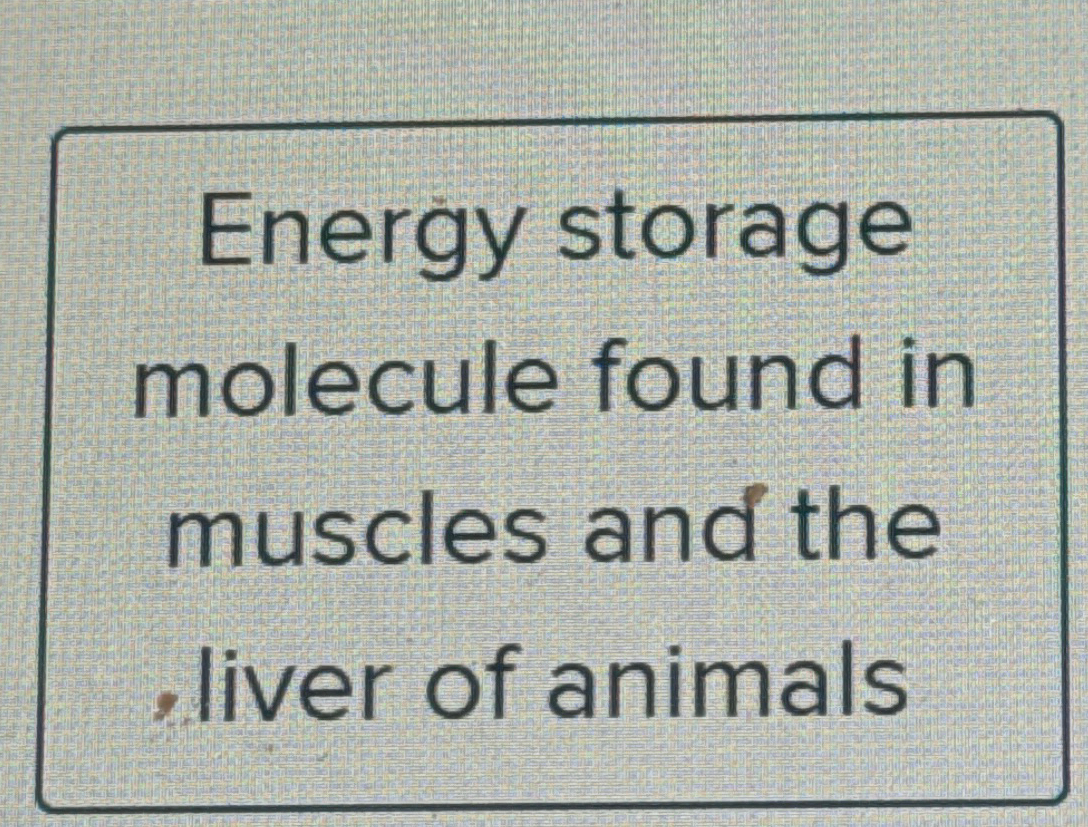 Solved Energy storage molecule found in muscles and the - | Chegg.com