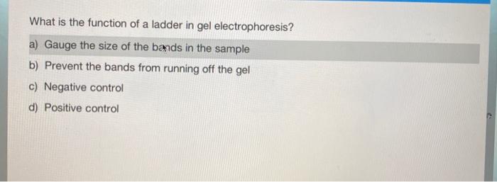 Solved What is the function of a ladder in gel | Chegg.com