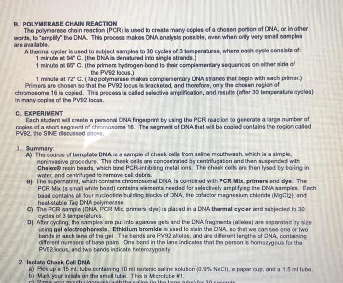 Molecular Genetics: Polymerase Chain Reaction This | Chegg.com