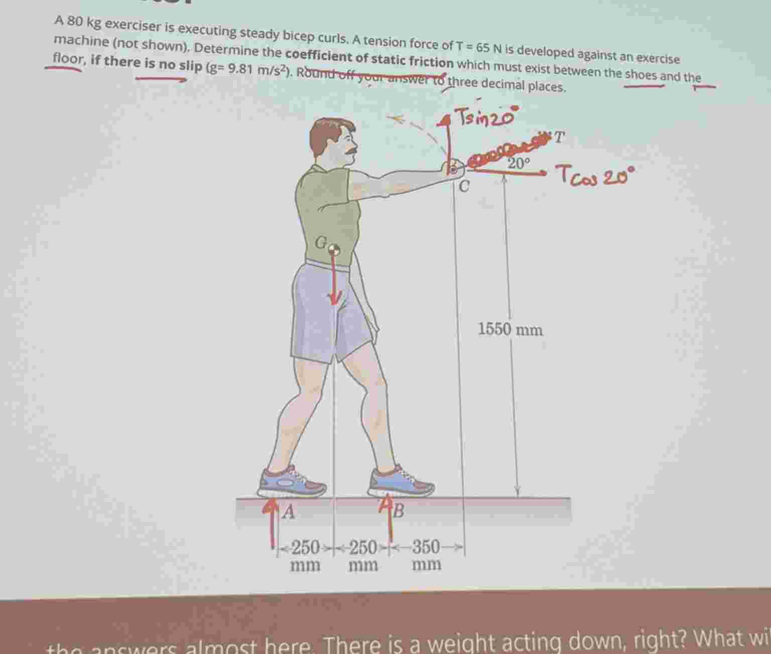 Solved A 80 ﻿kg exerciser is executing steady bicep curls. A | Chegg.com