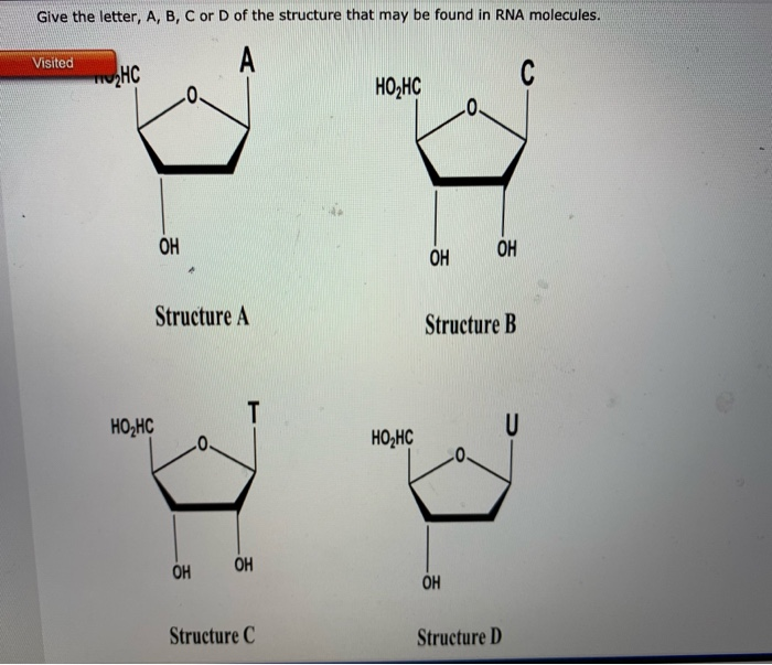 Solved Question 1 1 pt Below is shown one strand of a small | Chegg.com