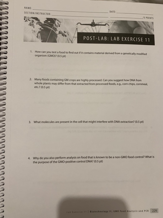 NAME: SECTION/INSTRUCTOR: DATE _J5 POINTS UUUUUUU | Chegg.com