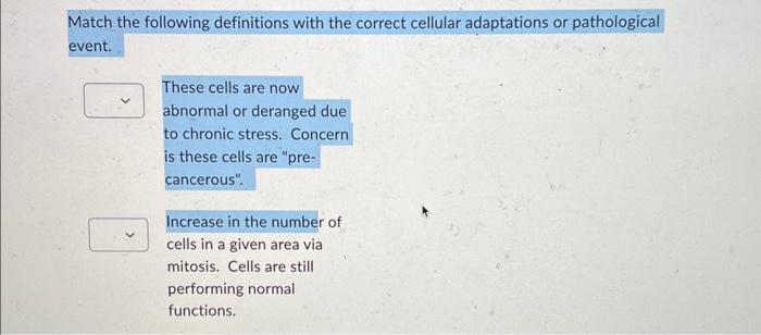Solved Match the following definitions with the correct | Chegg.com