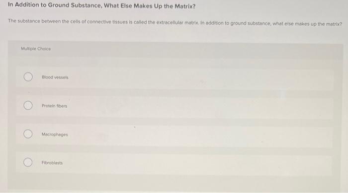 Solved In Addition to Ground Substance, What Else Makes Up | Chegg.com