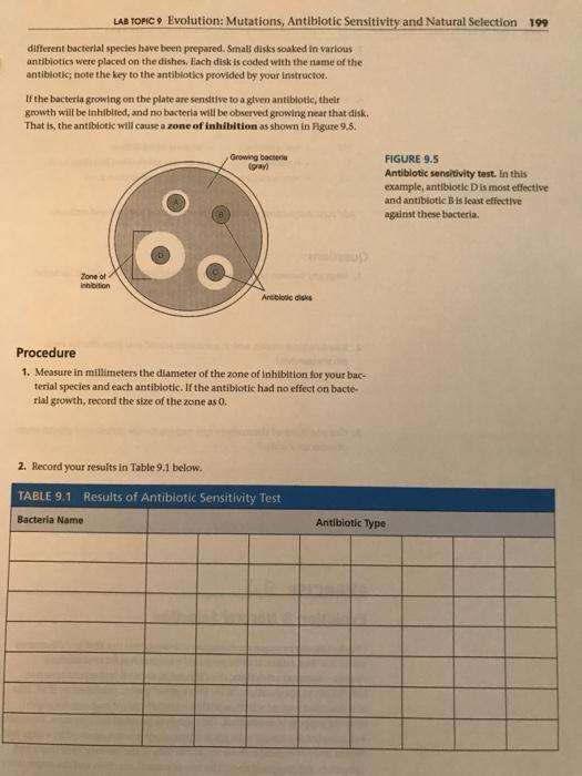 LAB TOPIC Evolution: Mutations, Antibiotic | Chegg.com