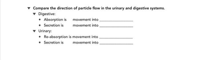 Solved Compare the direction of particle flow in the urinary | Chegg.com