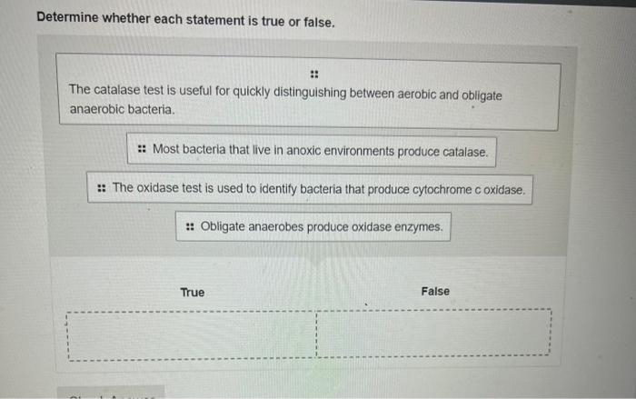 Solved Determine whether each statement is true or false. | Chegg.com