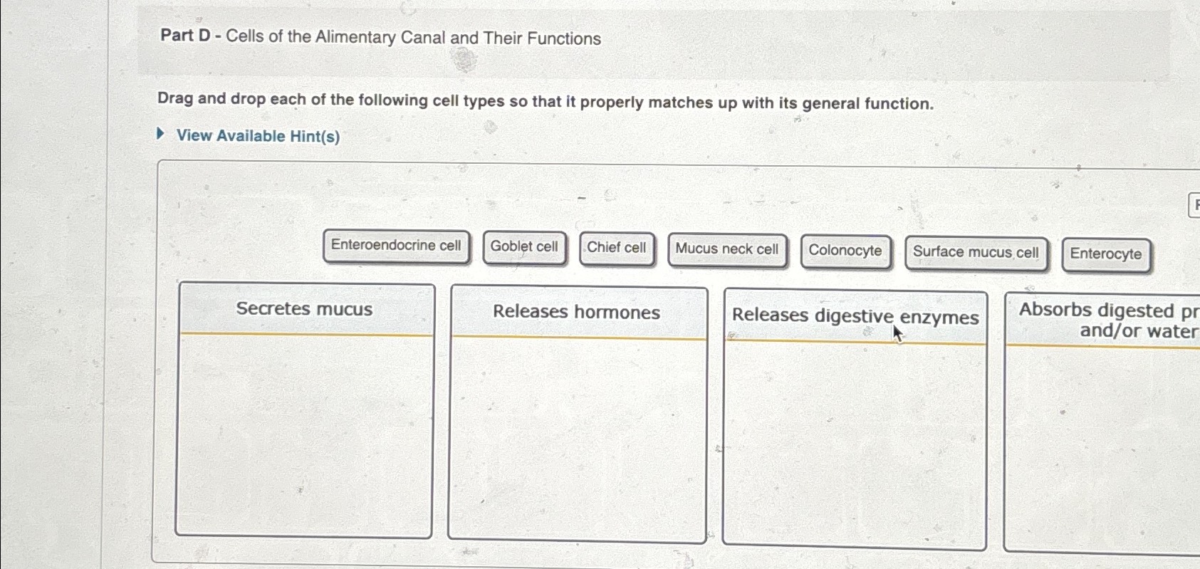 Solved Part D - ﻿Cells of the Alimentary Canal and Their | Chegg.com