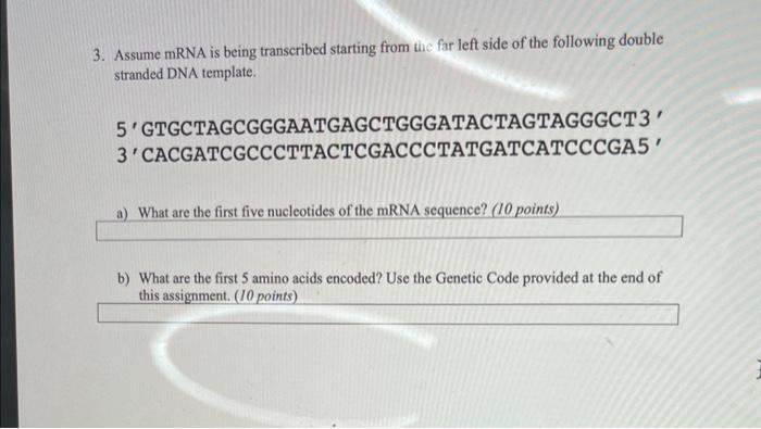 Solved 3. Assume mRNA is being transcribed starting from the | Chegg.com