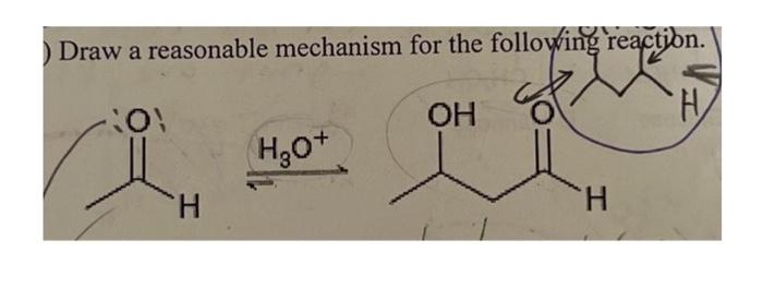 Solved Draw a reasonable mechanism for the following | Chegg.com