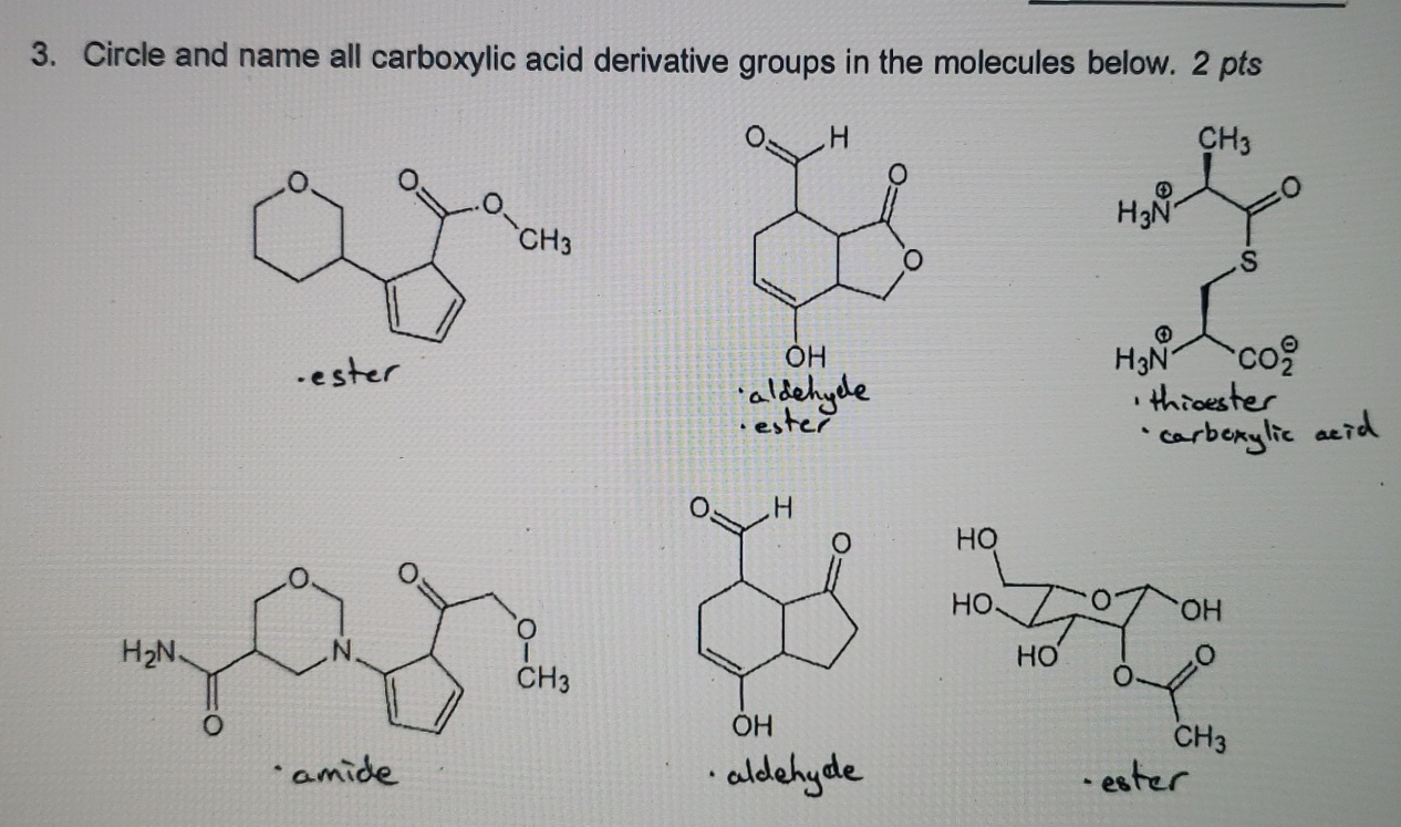 Solved Circle and name all carboxylic acid derivative groups | Chegg.com