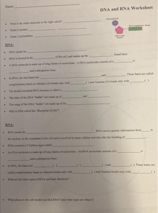 Solved Name: DNA and RNA Worksheet - What is the ontire | Chegg.com