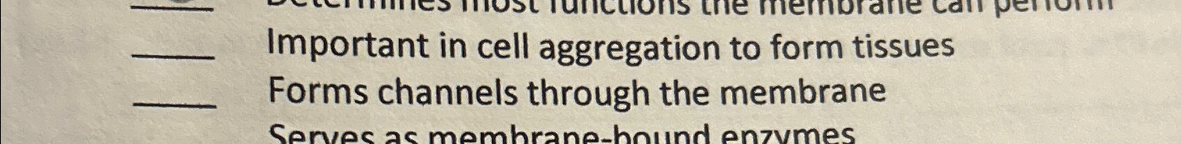 Solved Important in cell aggregation to form tissues Forms | Chegg.com
