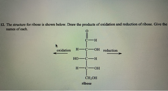Solved 12. The structure for ribose is shown below. Draw the | Chegg.com
