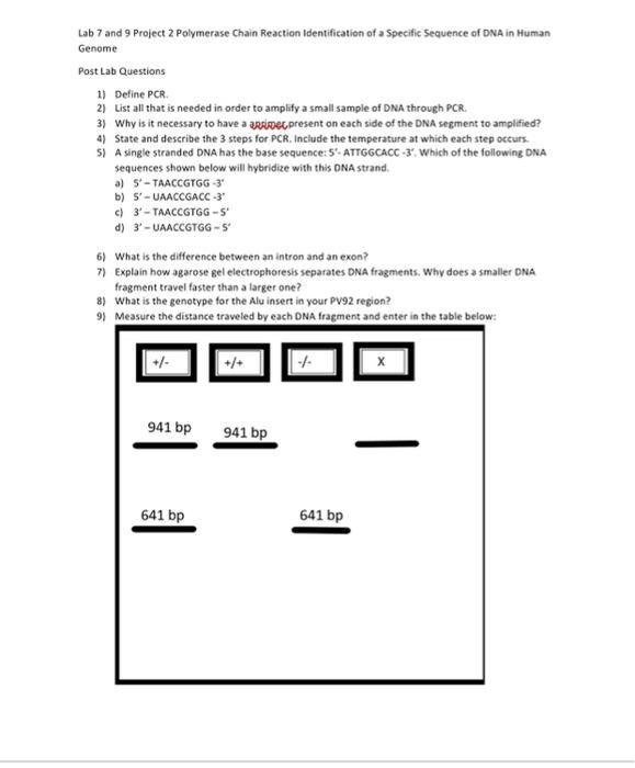 Lab 7 and 9 Project 2 Polymerase Chain Reaction | Chegg.com