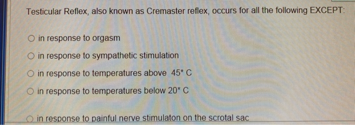 Solved Testicular Reflex, also known as Cremaster reflex, | Chegg.com