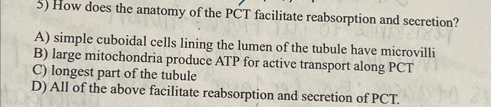 Solved How does the anatomy of the PCT facilitate | Chegg.com