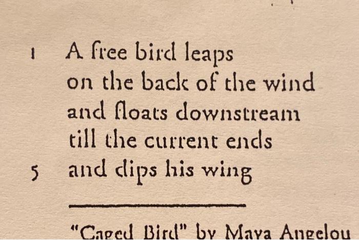 Solved 1 A free bird leaps on the back of the wind and | Chegg.com