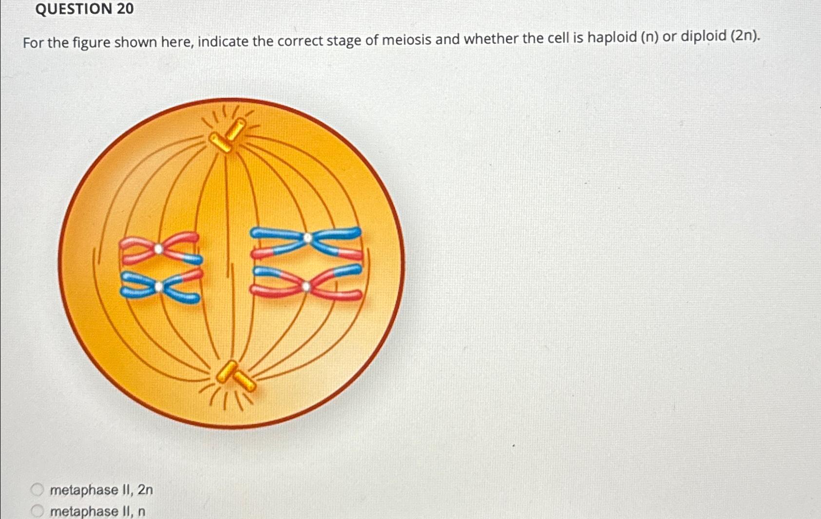 Solved QUESTION 20For the figure shown here, indicate the | Chegg.com
