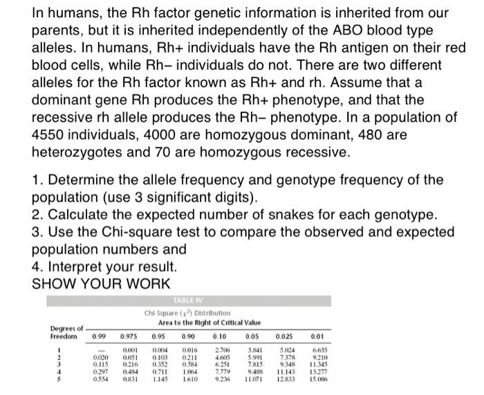 Solved In humans, the Rh factor genetic information is | Chegg.com