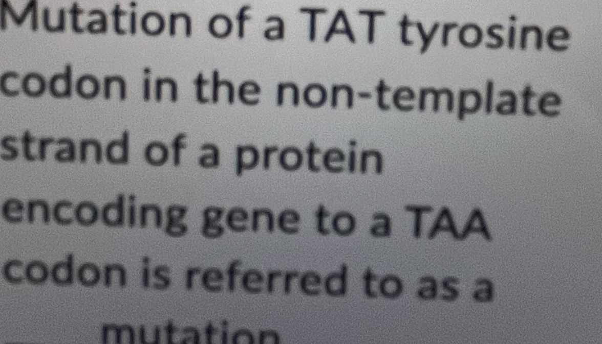 Solved Mutation of a TAT tyrosine codon in the non-template | Chegg.com