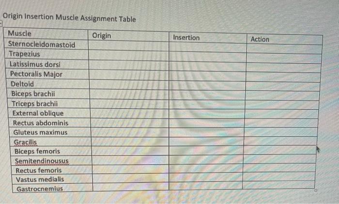 Solved what is the origin, insertion and action of each | Chegg.com