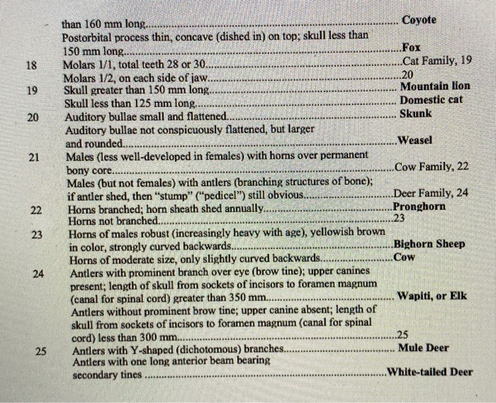 Solved 1 Dichotomous Key Cheek teeth all about the same | Chegg.com