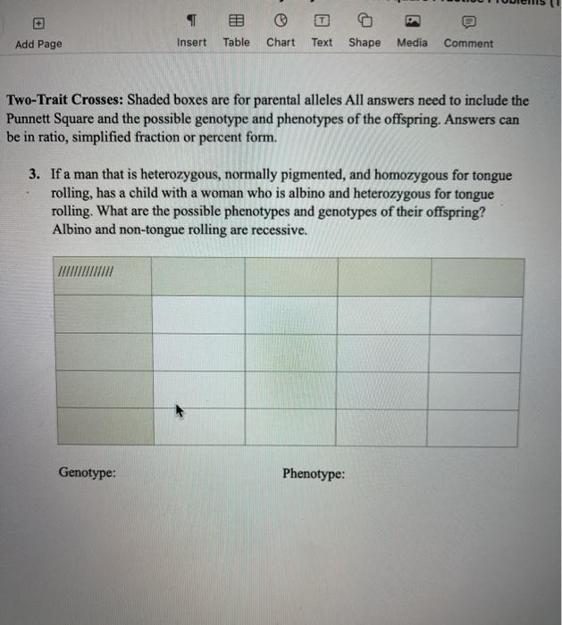 Solved T Add Page Insert Table Chart Text Shape Media | Chegg.com