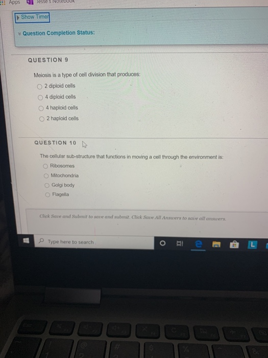 Solved :: Apps Jesse S Notebou Show Timer Question | Chegg.com