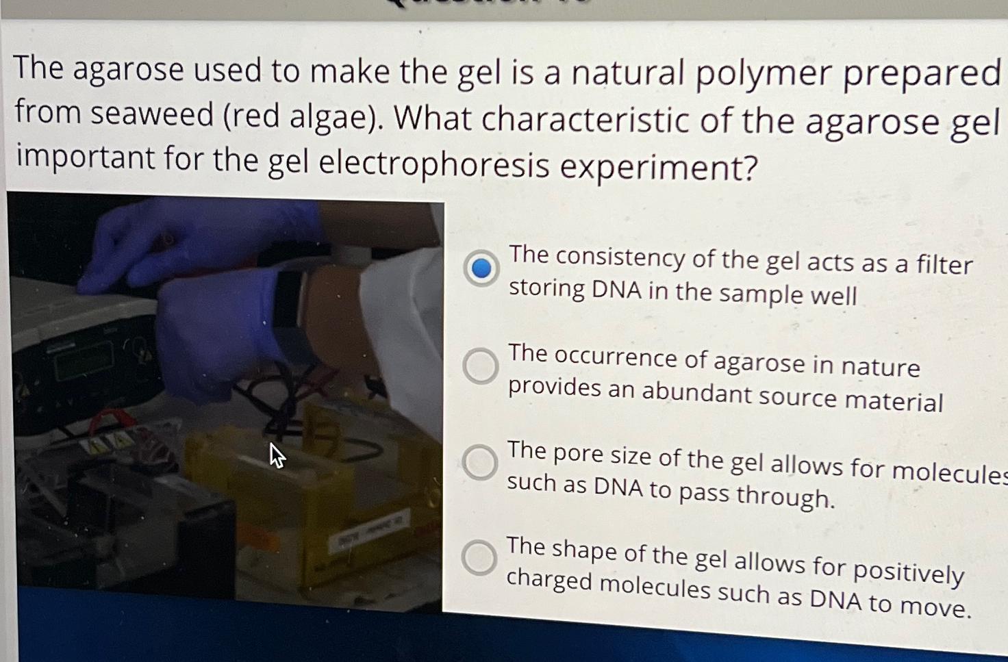 Solved The agarose used to make the gel is a natural polymer | Chegg.com