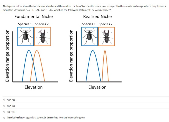 The figures below show the fundamental niche and the | Chegg.com