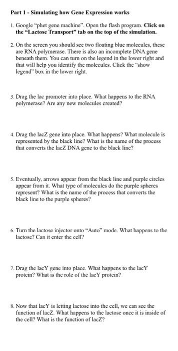 Solved Part 1 - Simulating how Gene Expression works 1. | Chegg.com