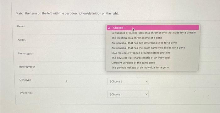 Solved Match the following phase of mitosis to what happens | Chegg.com