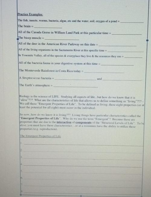 Solved Practice Examples:The fish, insects, worms, bacteria, | Chegg.com