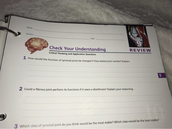 Solved Name Section Date UNIT Check Your Understanding | Chegg.com