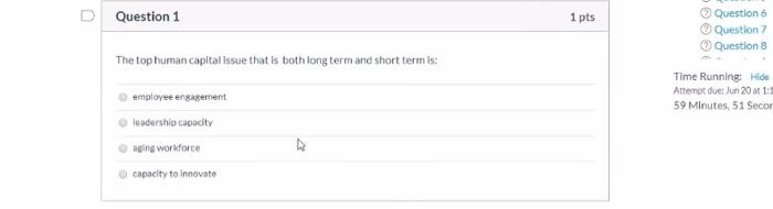 Solved The top human capital issue that is both long term | Chegg.com