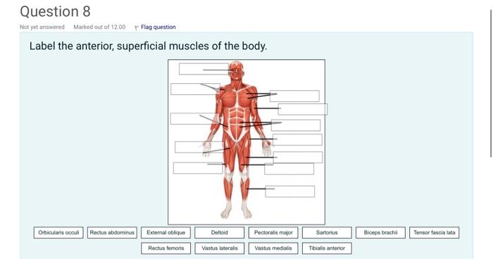 Label the special movement on the diagram. Question | Chegg.com