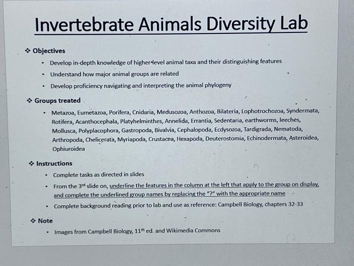 Solved Invertebrate Animals Diversity Lab * Objectives - | Chegg.com