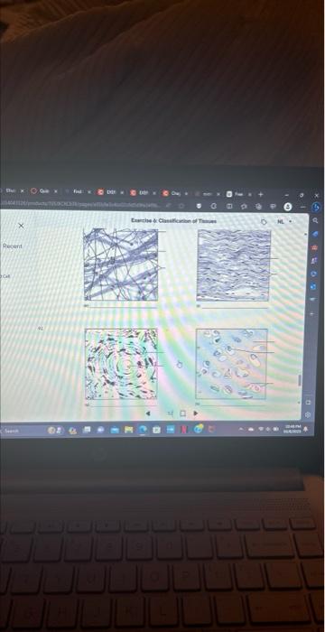 Solved 27. Label the tissue types illustrated here and on | Chegg.com